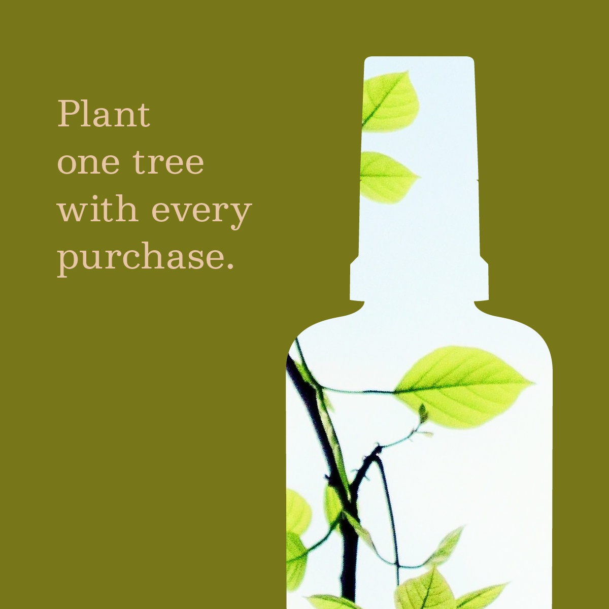 8 Beautiful Brands that Help to Save The Planet | Caviar Feeling: Home ...